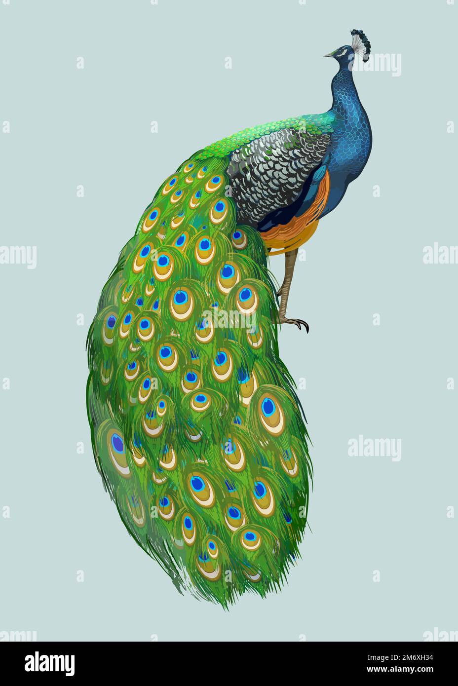 Big beautiful blue eyes Stock Vector Images - Alamy