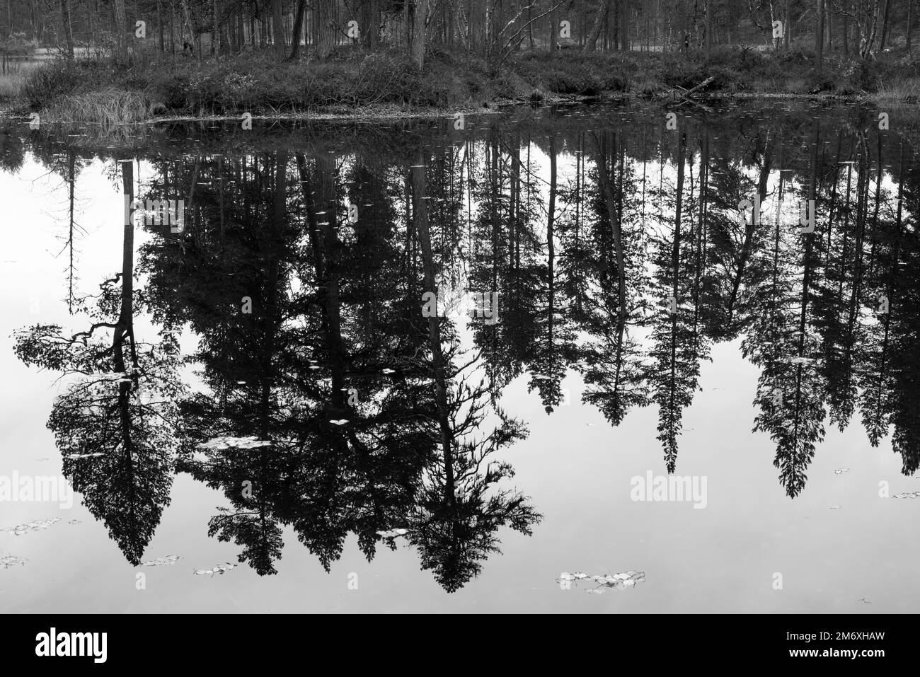 Lake in Lemmenjoki National Park, near Inari, Finland Stock Photo - Alamy