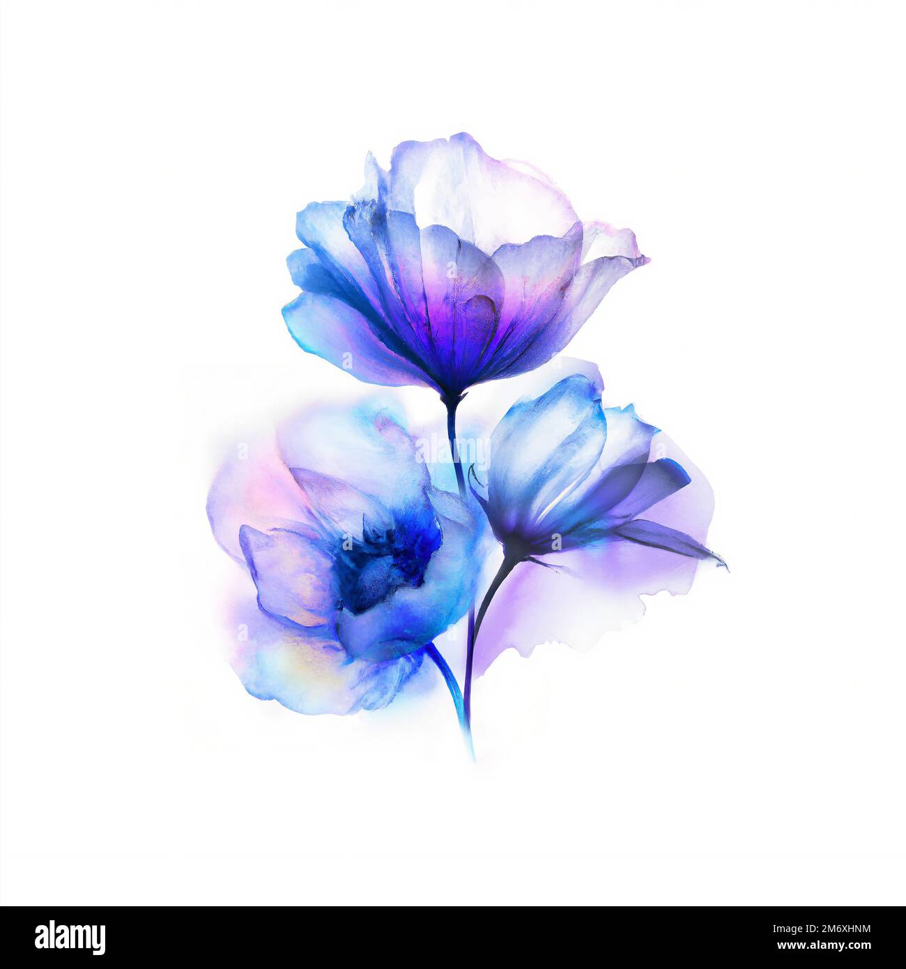 Watercolor Blue Flowers Stock Photo - Alamy