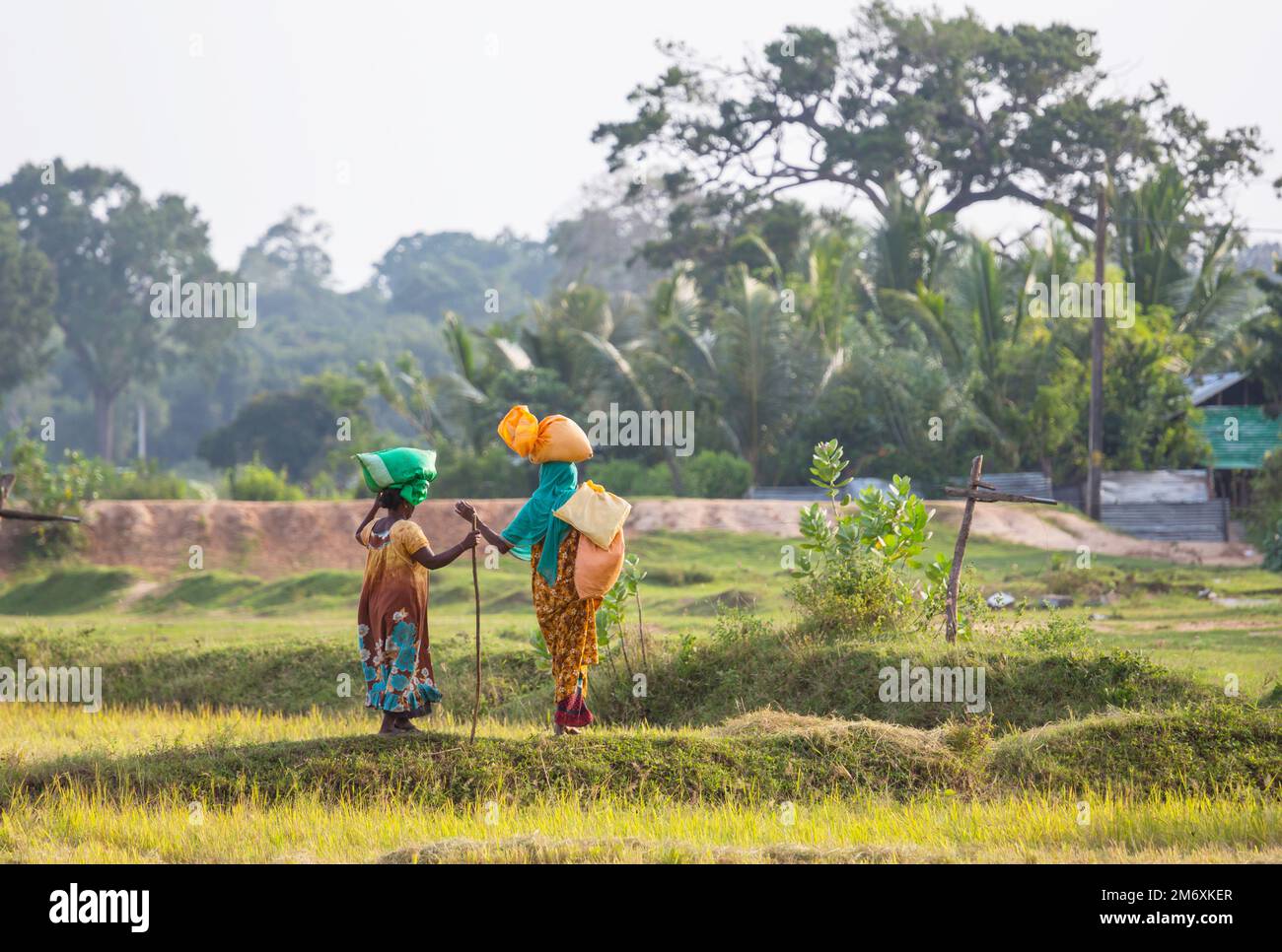 People on Sri Lanka Stock Photo - Alamy