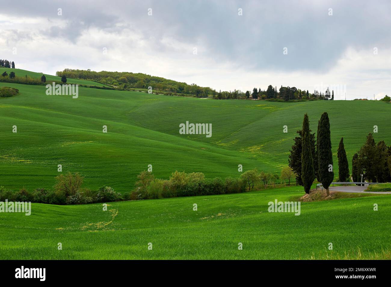 Spring landscape in Tuscan hills Stock Photo - Alamy