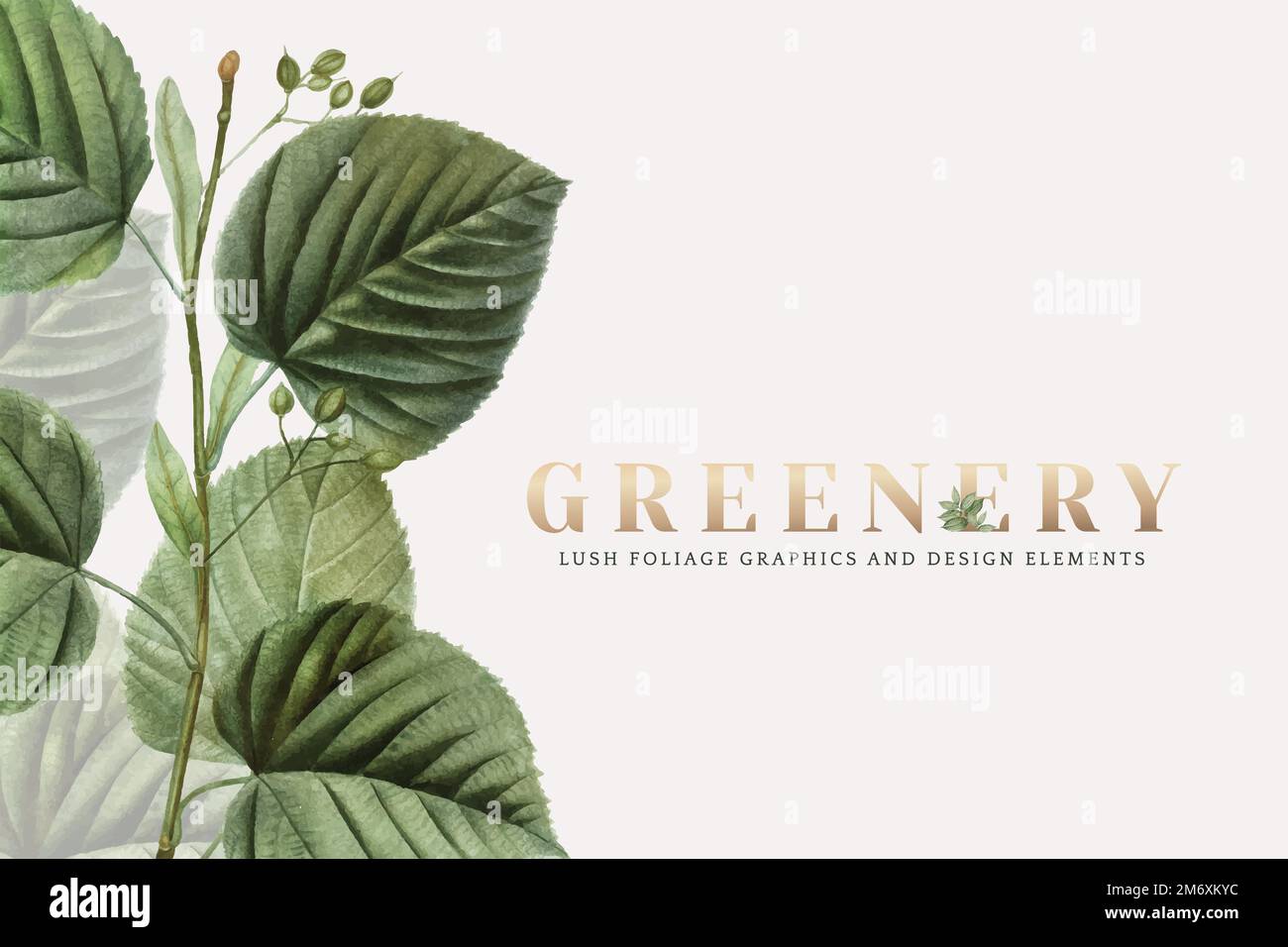 Tropical botanic greenery background illustration Stock Vector Image ...