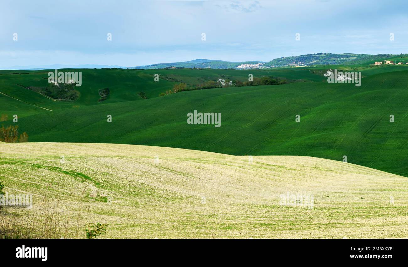 Spring landscape in Tuscan hills Stock Photo - Alamy