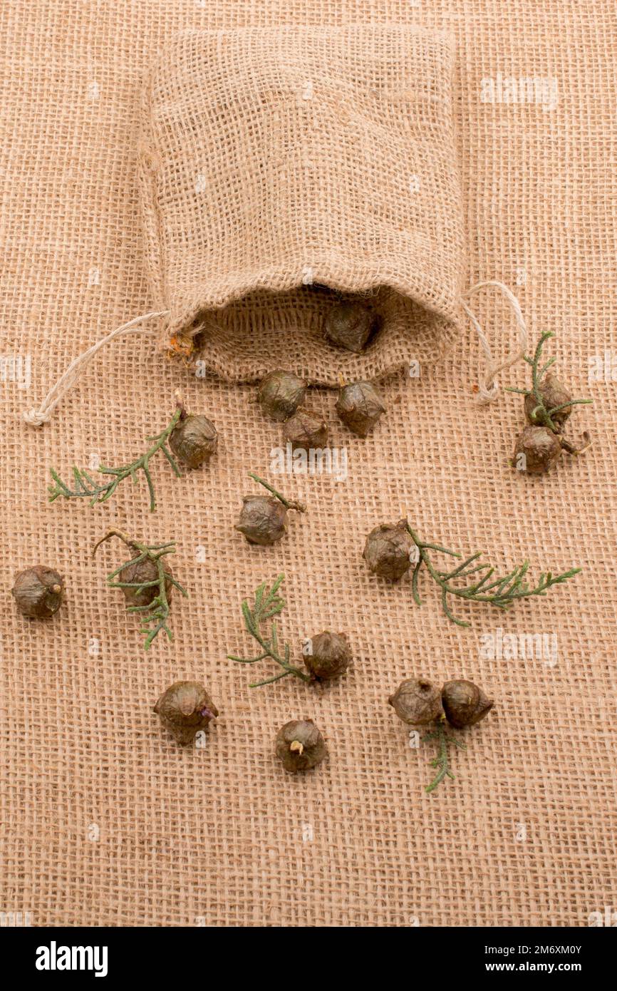 Plant pods, capsules out of sack Stock Photo - Alamy