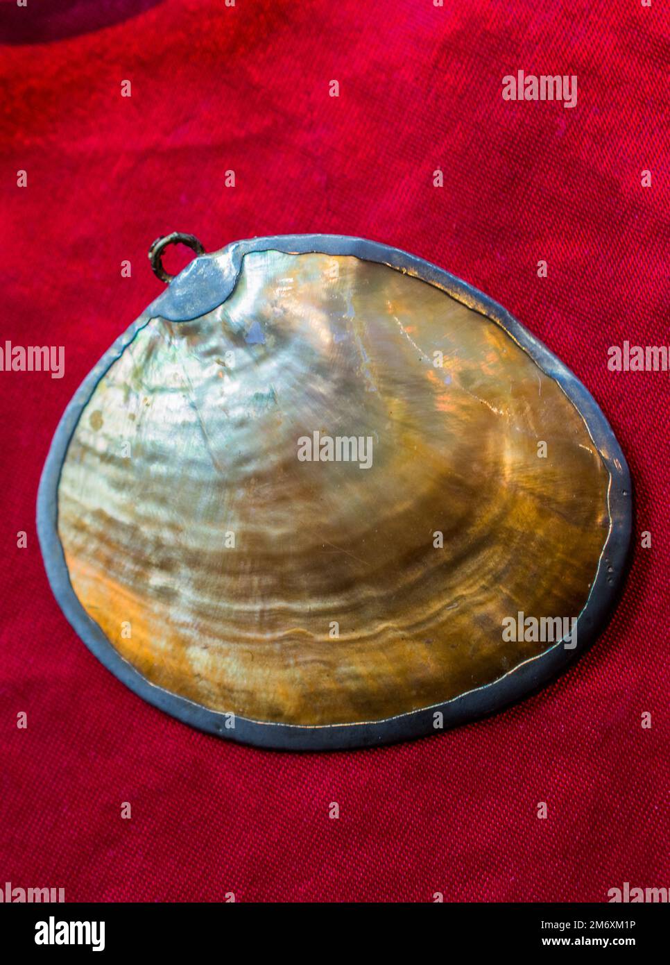 The pearl shell as a sea shell object Stock Photo - Alamy