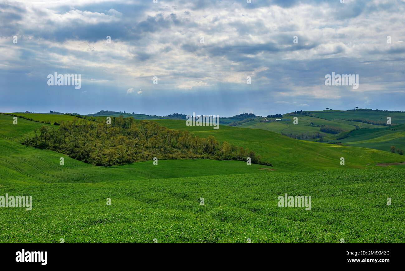 Spring landscape in Tuscan hills Stock Photo - Alamy