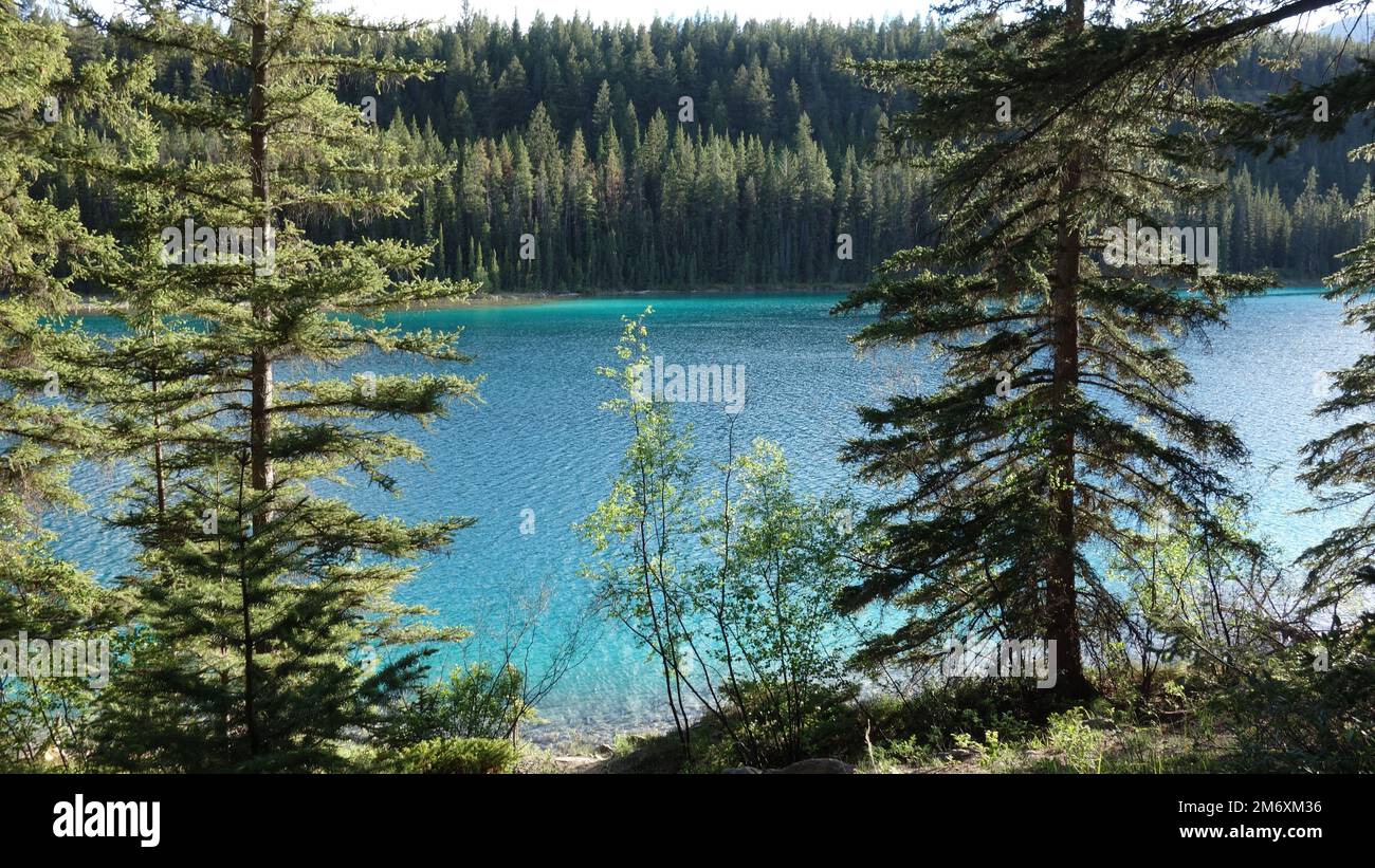 A beautiful landscape of a lake in the green forest in the Valley of ...