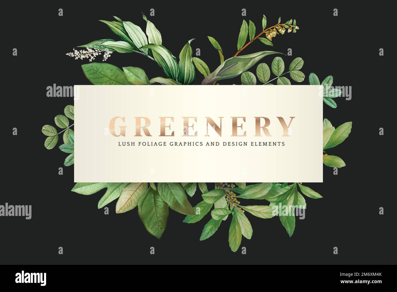 Tropical botanical banner design vector Stock Vector Image & Art - Alamy