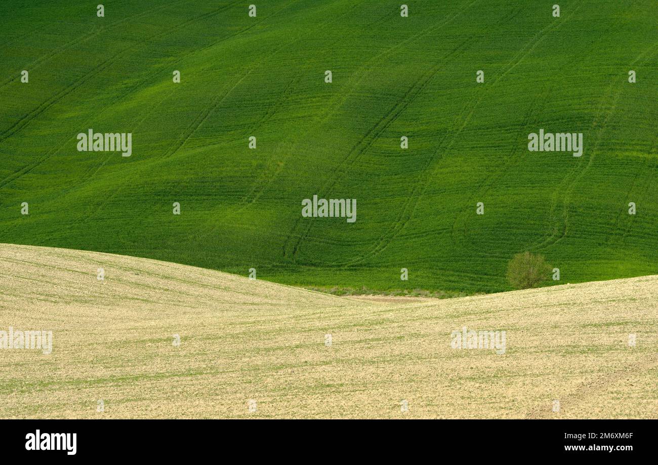 Spring landscape in Tuscan hills Stock Photo - Alamy