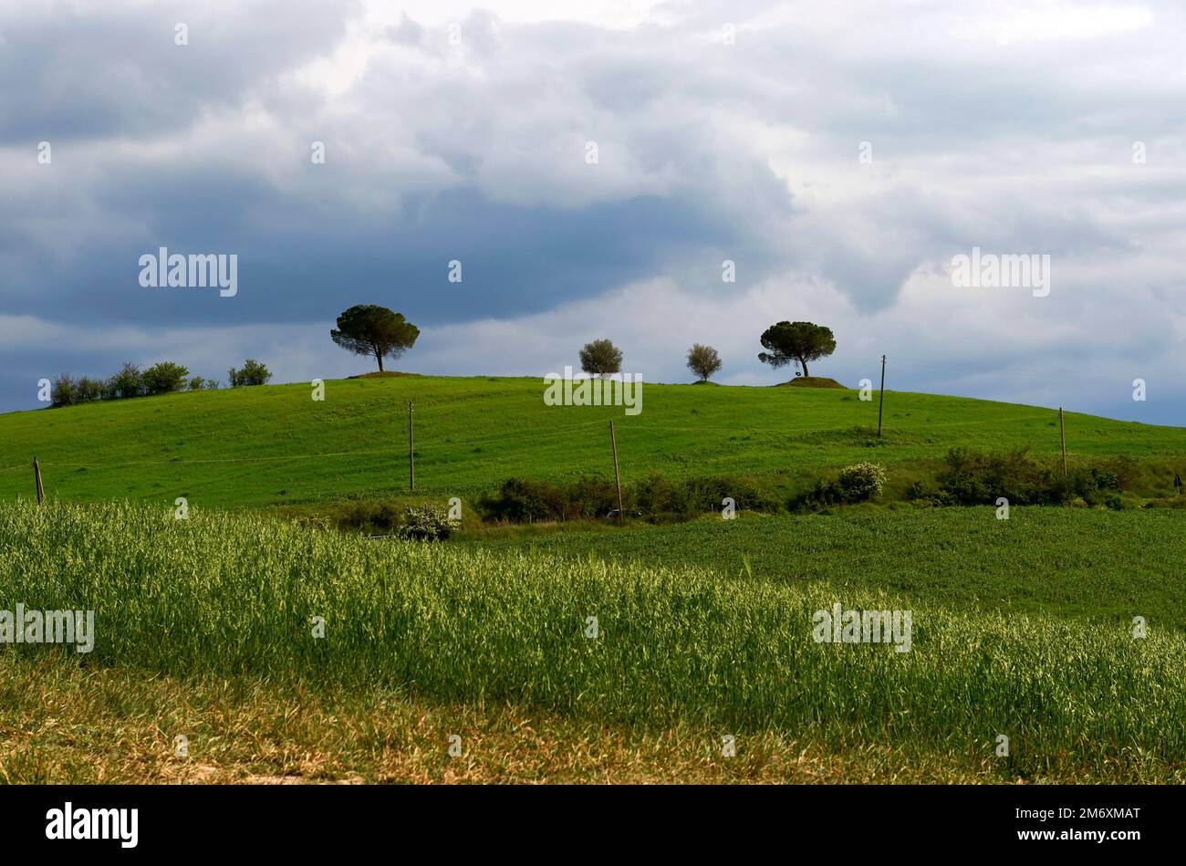 Spring landscape in Tuscan hills Stock Photo - Alamy