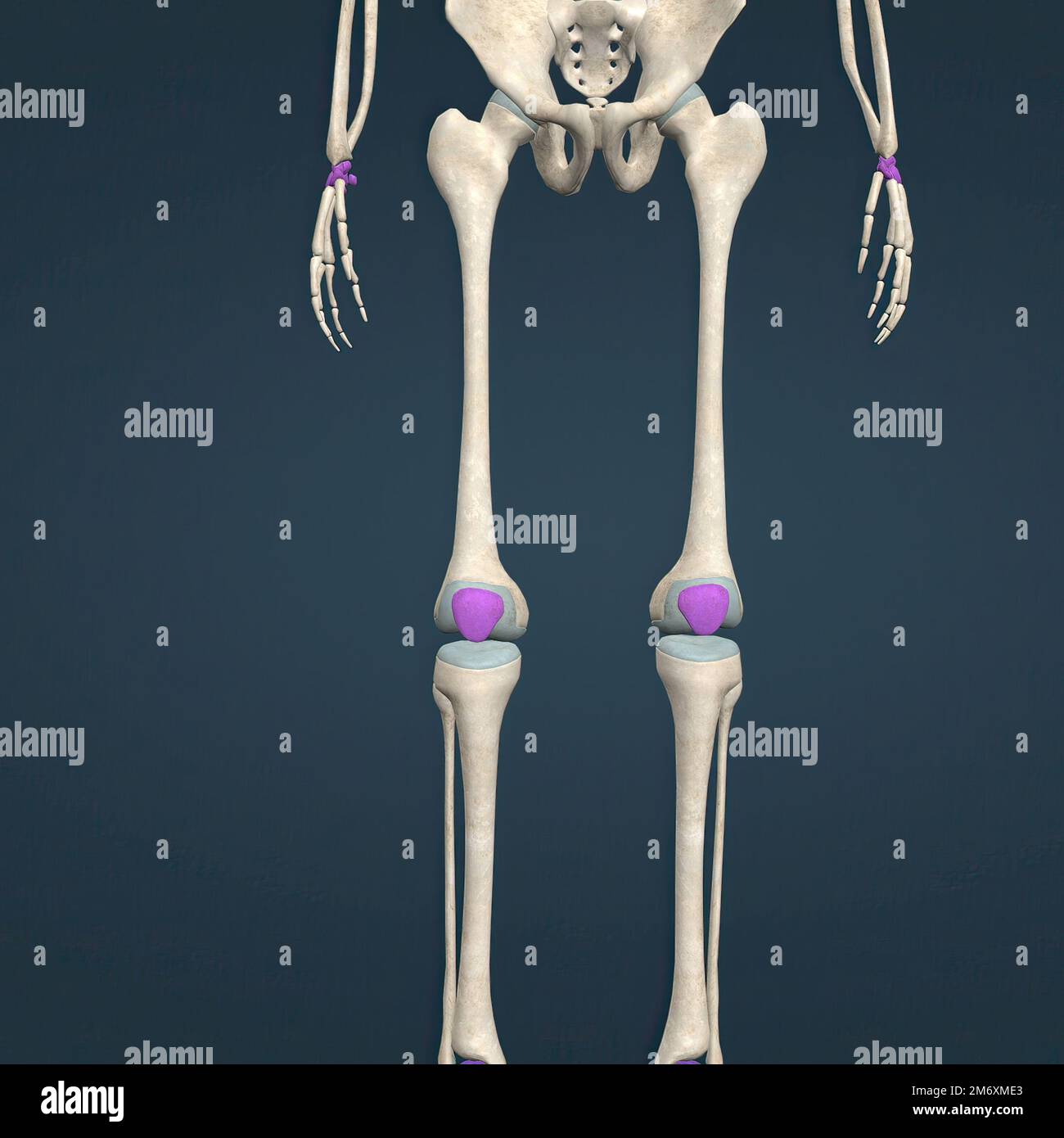 Hand joint hi-res stock photography and images - Alamy