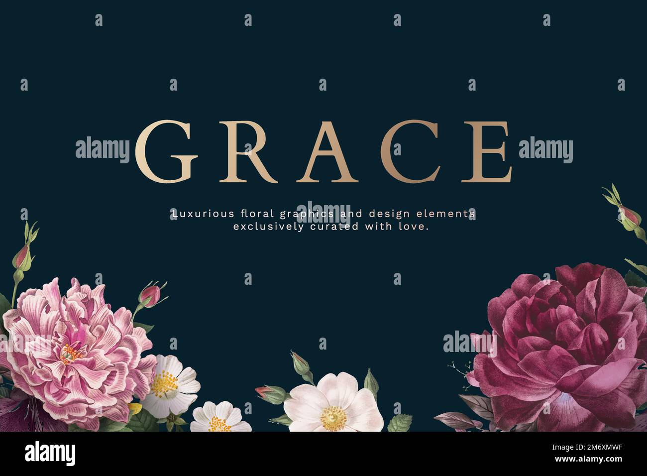 Floral grace rose themed banner vector Stock Vector Image & Art - Alamy
