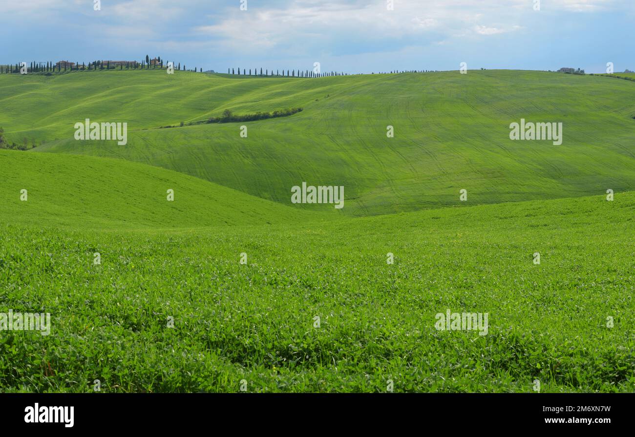 Tuscany rural landscape italy hi-res stock photography and images - Alamy