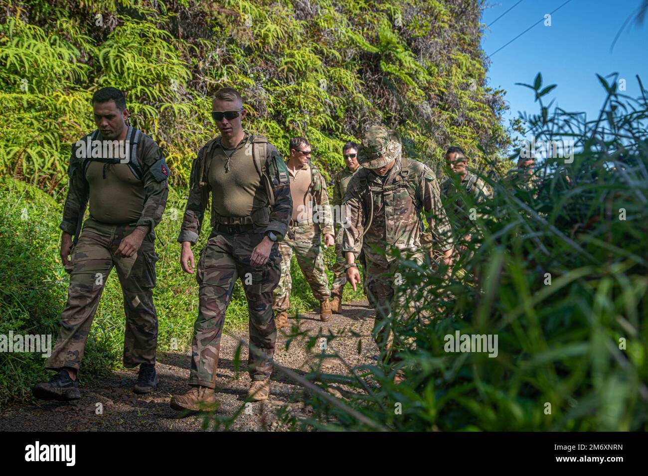 Soldiers of tahiti hi-res stock photography and images - Alamy