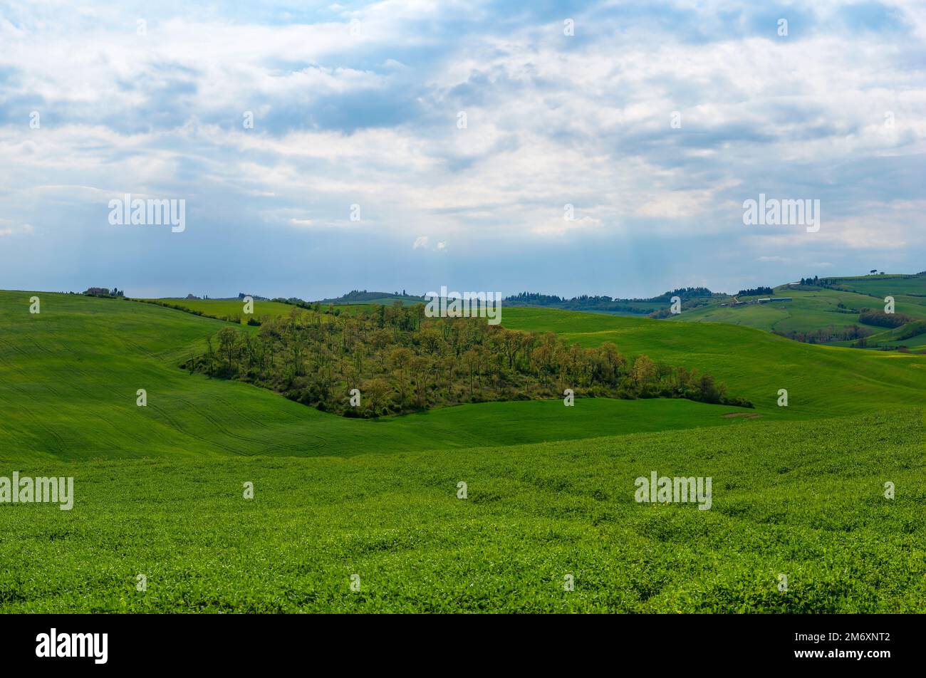 Tuscan hills spring hi-res stock photography and images - Alamy