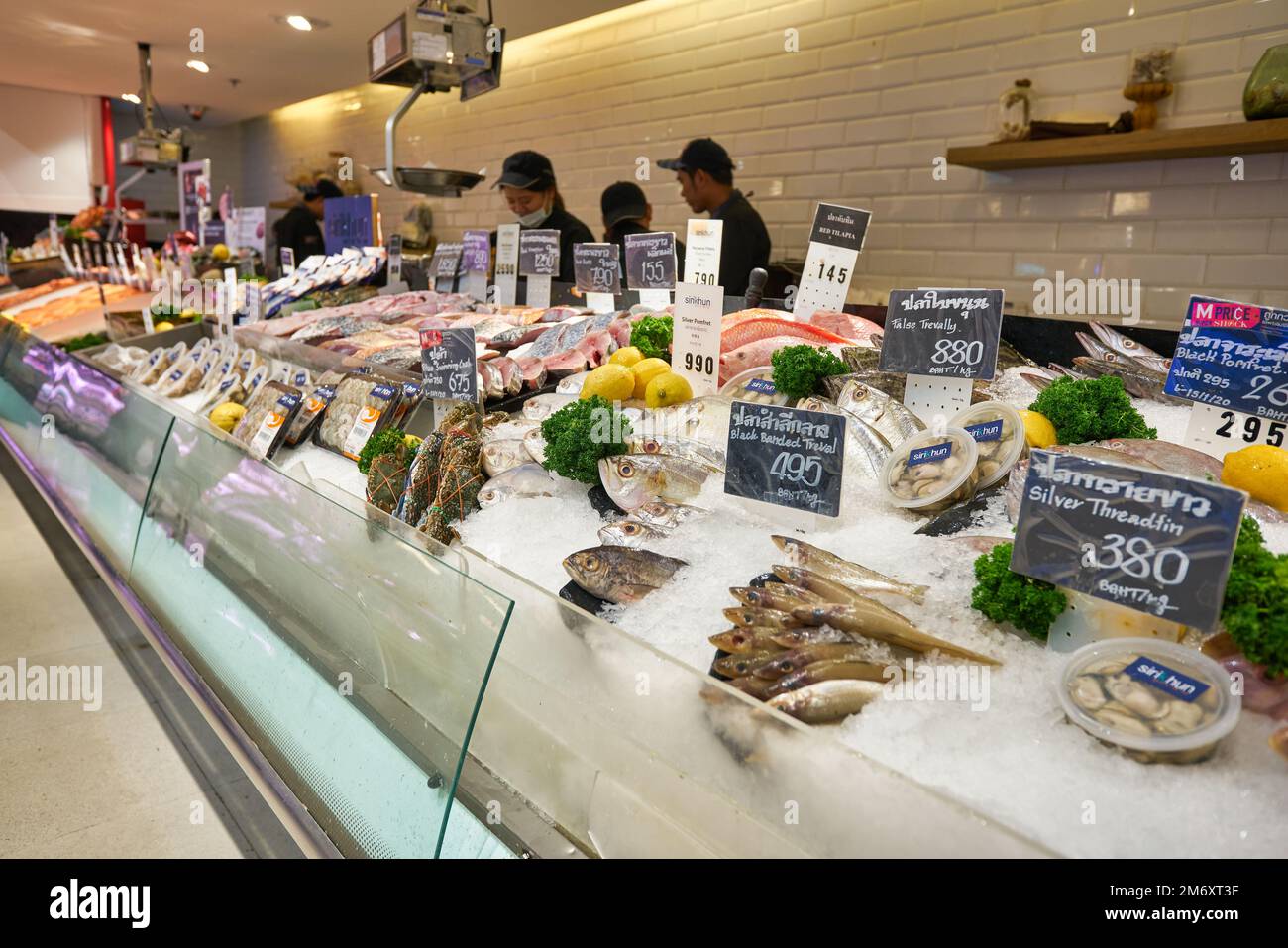 BANGKOK, THAILAND - CIRCA JANUARY, 2020: various fish displayed at ...