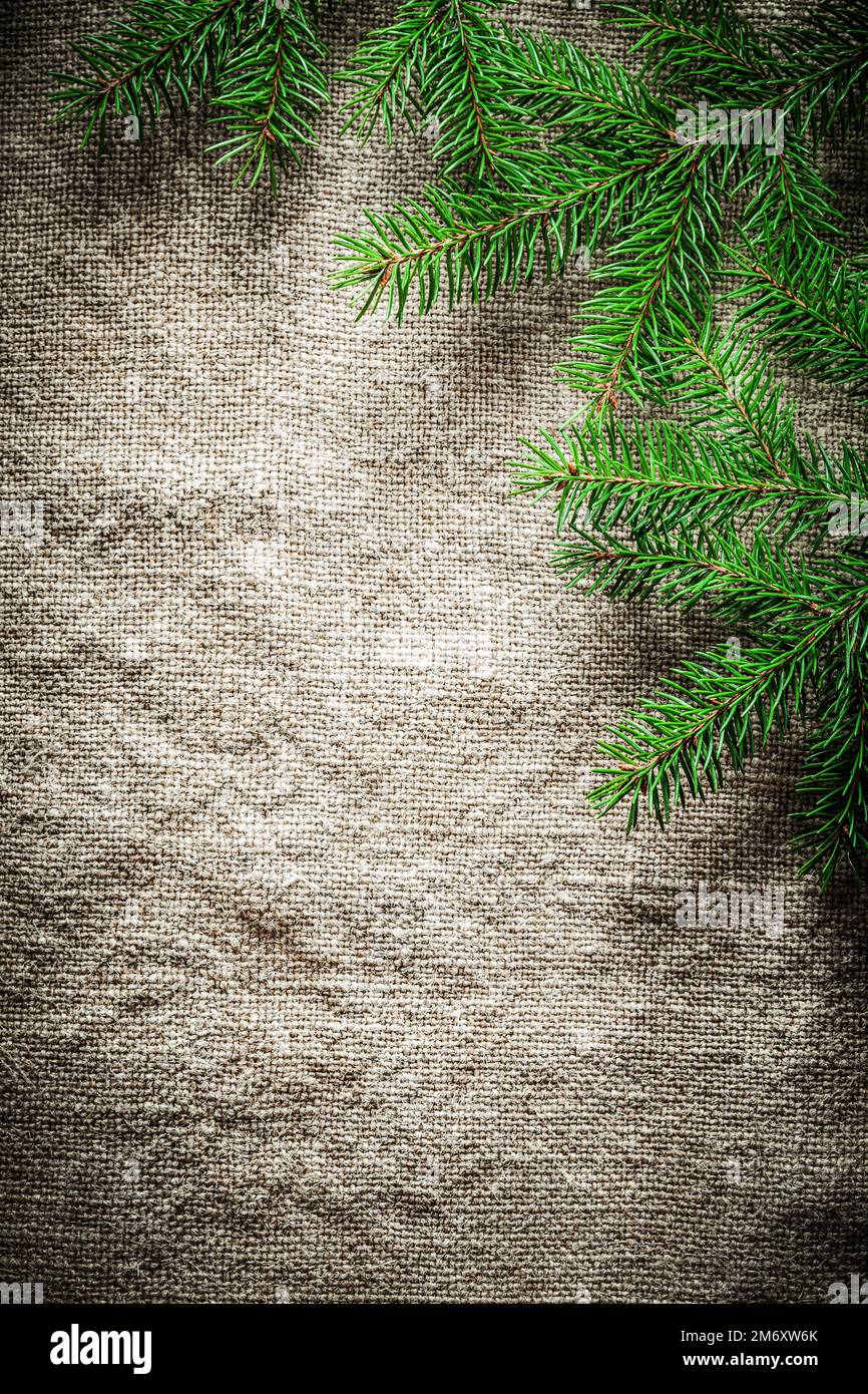 Green pine tree twigs on bagging background Stock Photo - Alamy