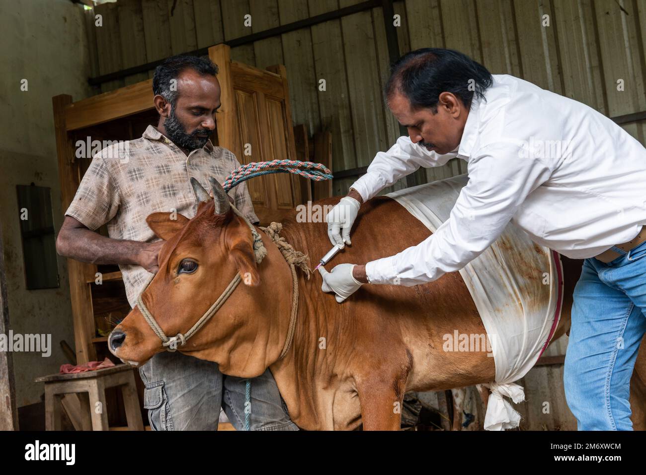 Indian doctor injection hi-res stock photography and images - Alamy