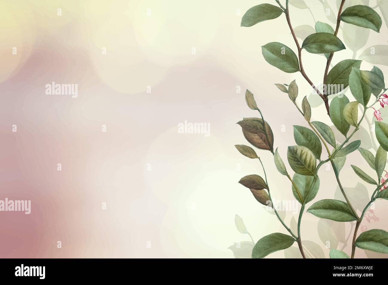 Pink gradient floral background vector Stock Vector Image & Art - Alamy