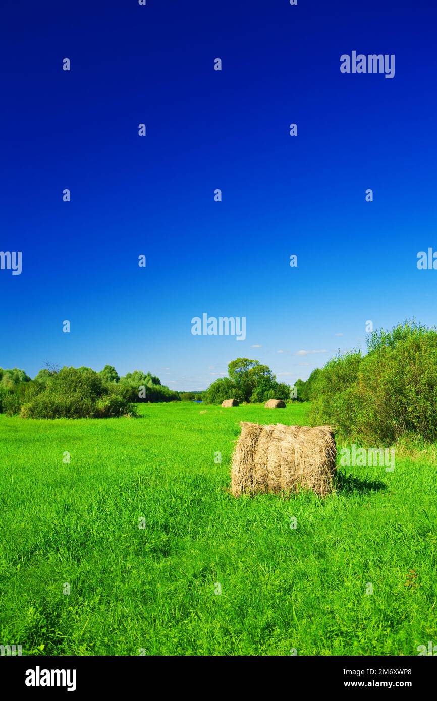 Image haystack hi-res stock photography and images - Alamy
