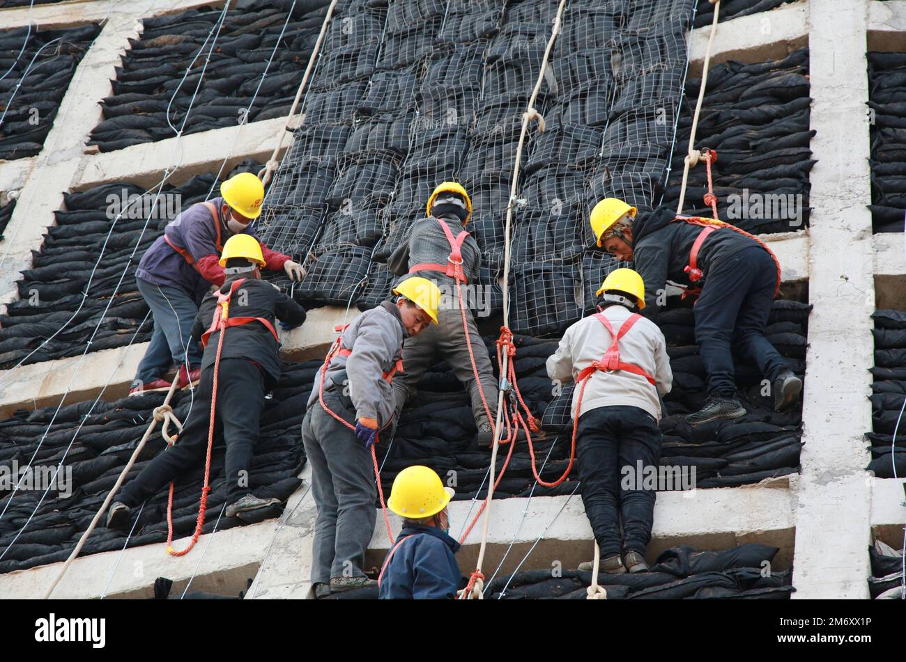 Workers carry out reinforcement construction on the slope protection on ...