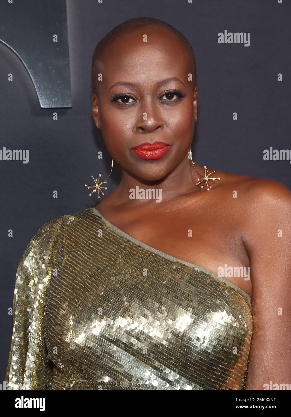 Hollywood Ca Usa On January 5 2023 Christine Horn At Premiere Of