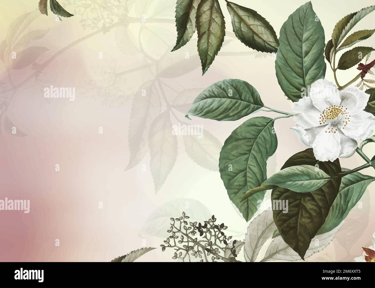 Pink gradient floral background with musk rose vector Stock Vector ...