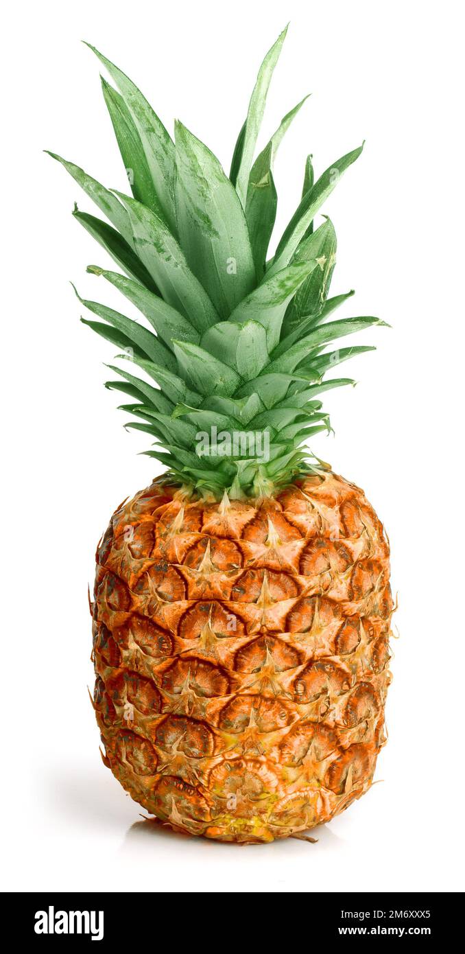Two ripe pineapple isolated on white background Stock Photo - Alamy
