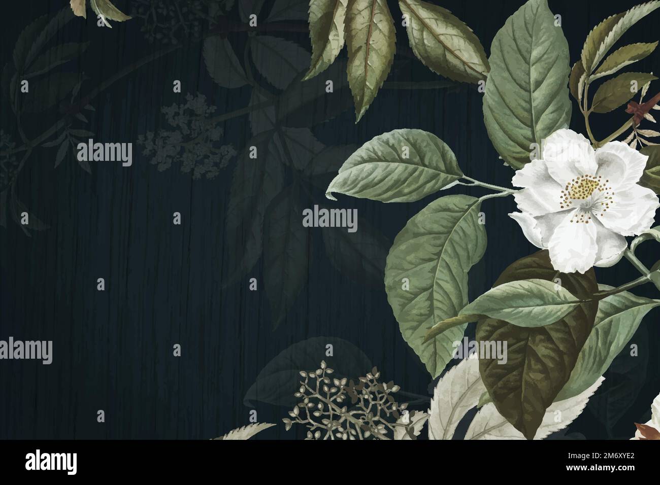 Black wooden background with musk rose vector Stock Vector Image & Art ...