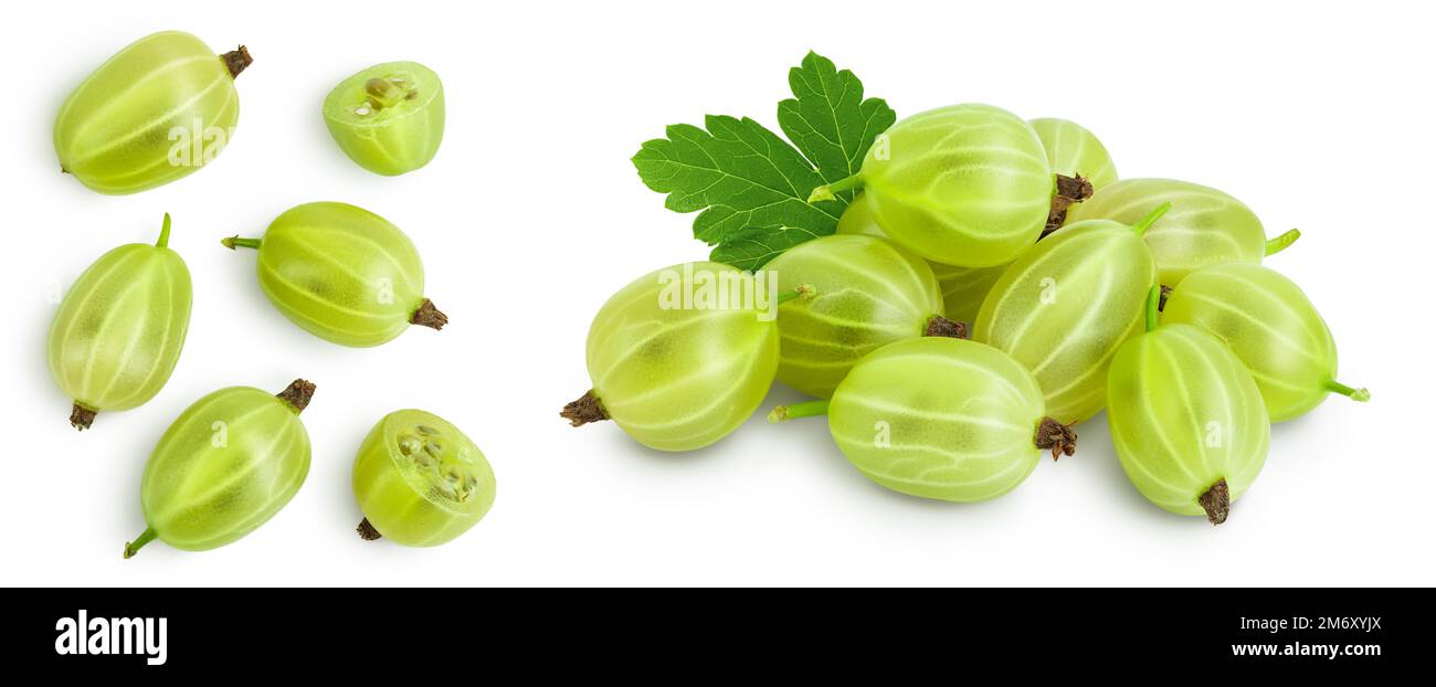 Green gooseberry isolated on white background with full depth of field ...