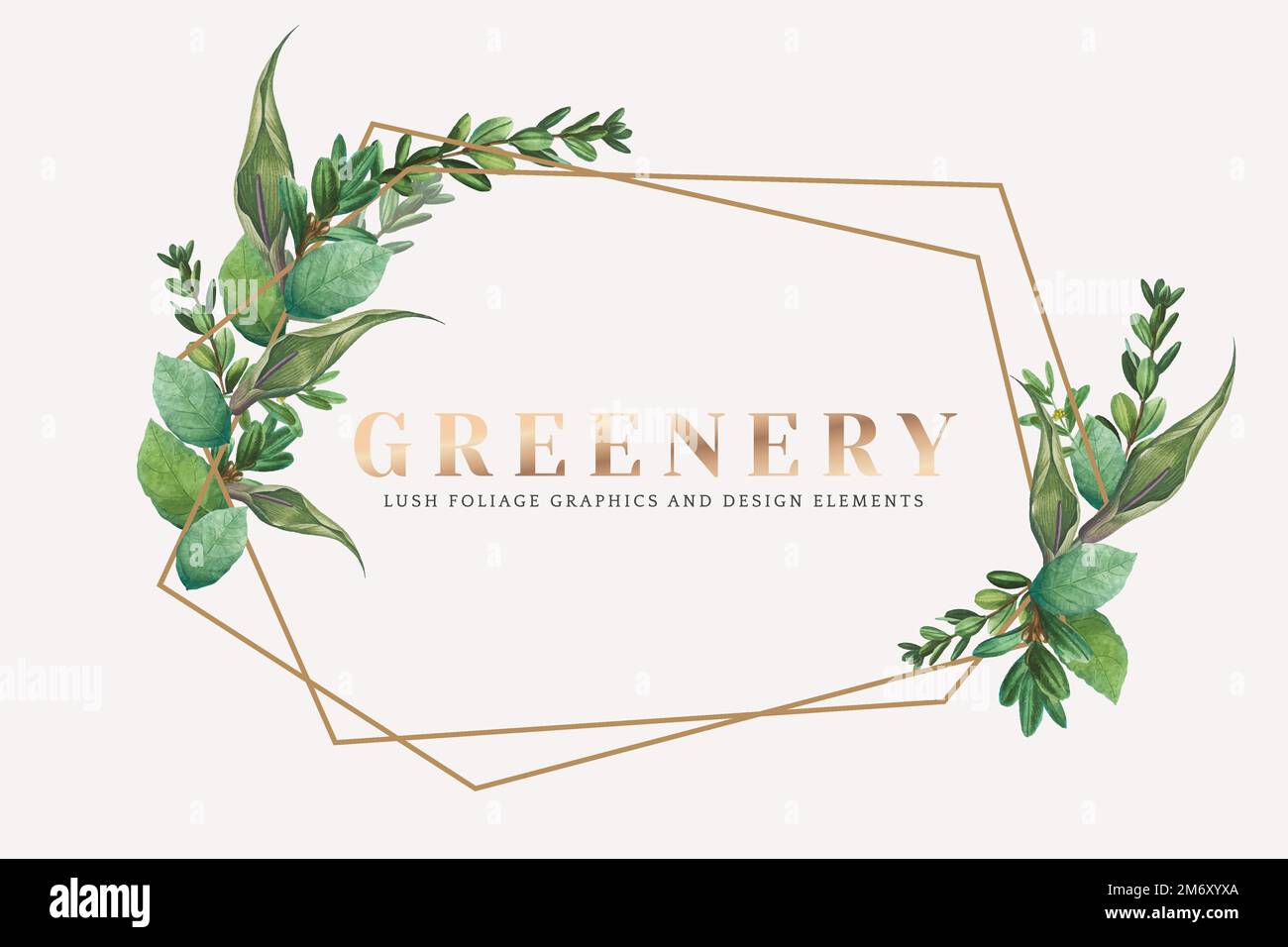 Tropical greenery frame design vector Stock Vector Image & Art - Alamy