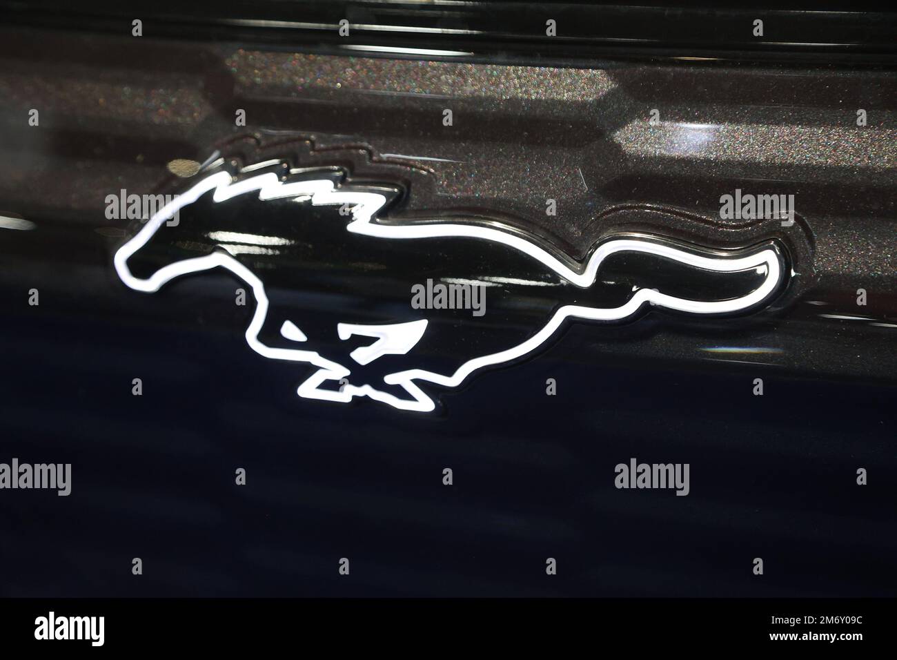 Las Vegas, United States. 05th Jan, 2023. A close up view of the ...