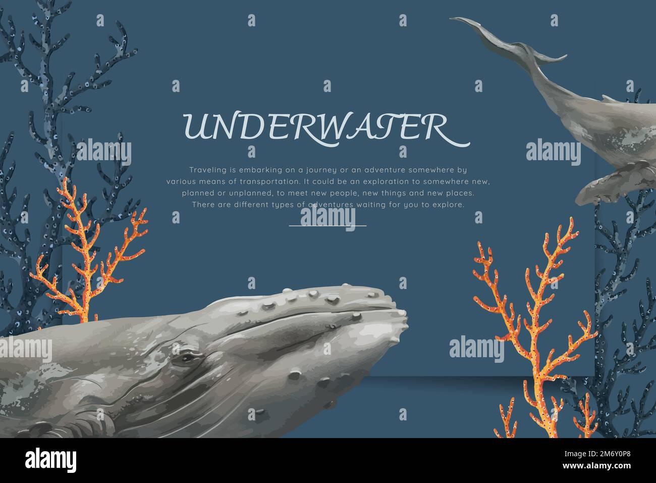Underwater poster with whales vector Stock Vector Image & Art - Alamy