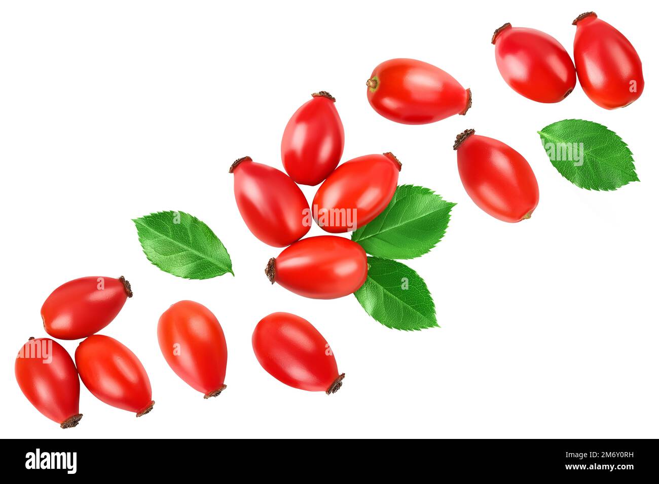 Rose hip isolated on a white background with full depth of field. Top ...