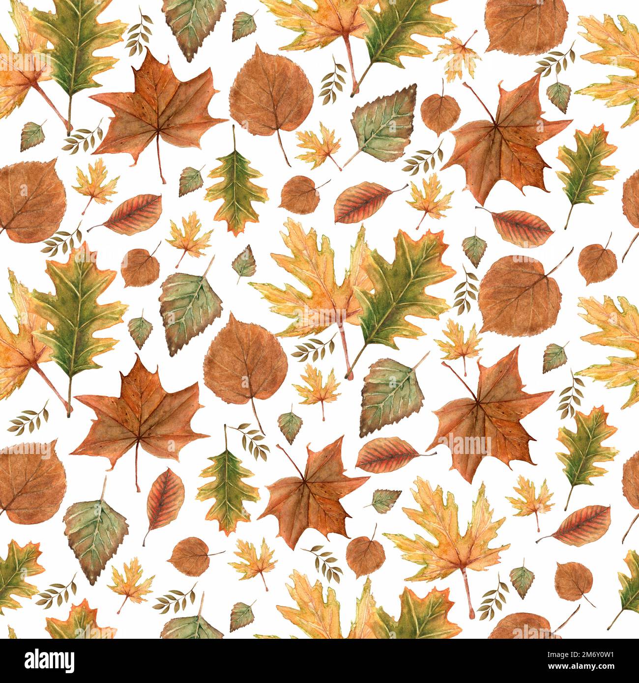 Seamless pattern of Autumn fall leaves,natural branches, colorful herbs ...