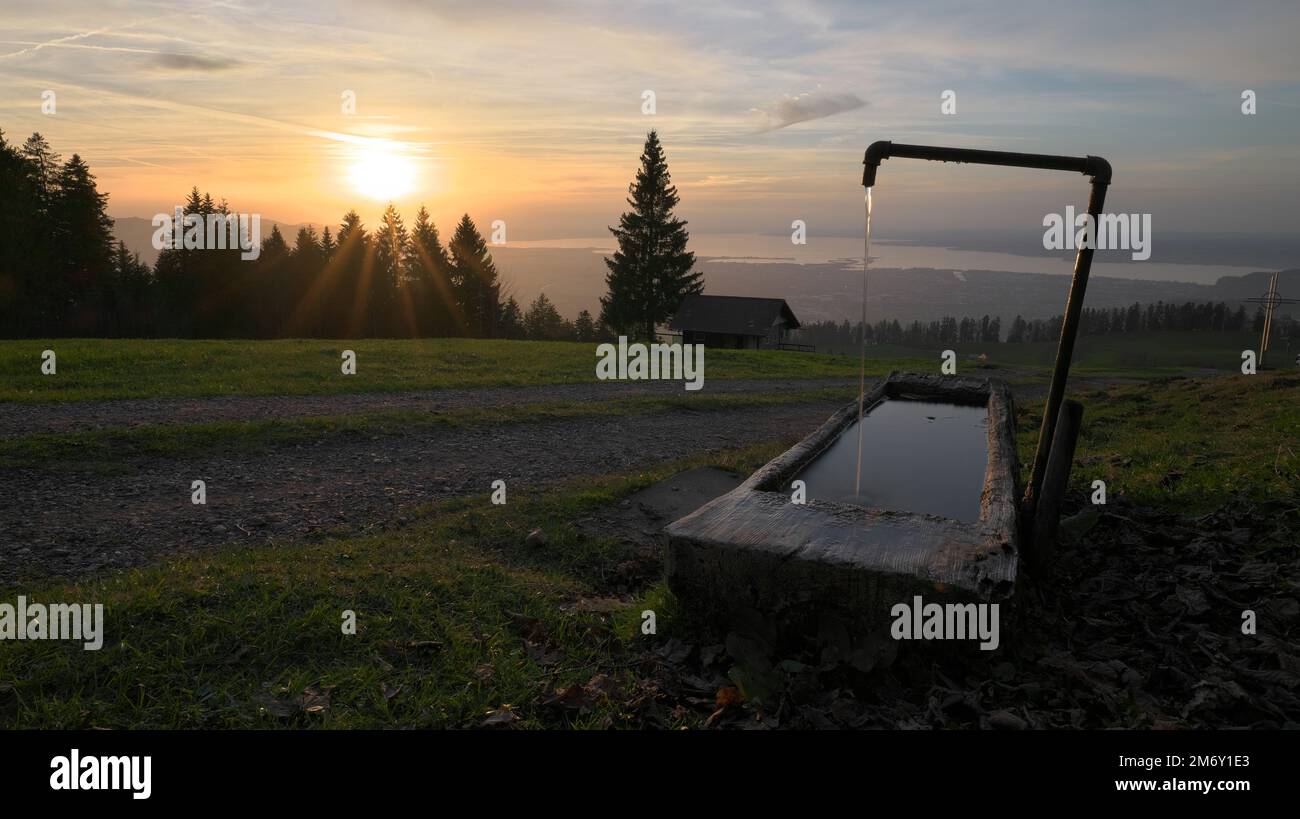 Sunset on the mountain with sun rays shining through fir trees and ...