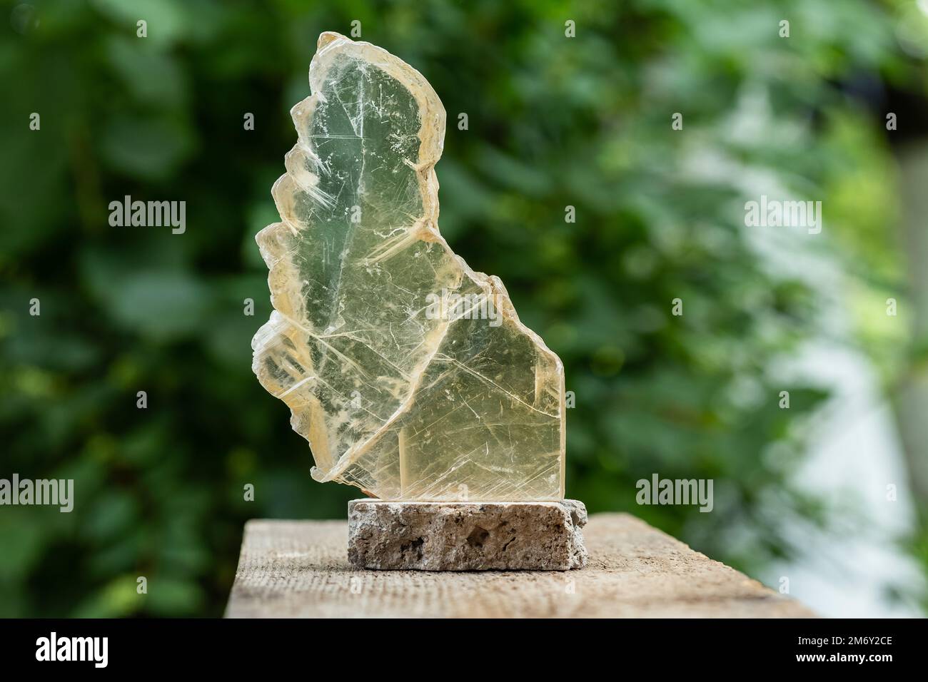 A Large Sample of Gypsum Soft Sulfate Mineral on Display Stand Stock ...