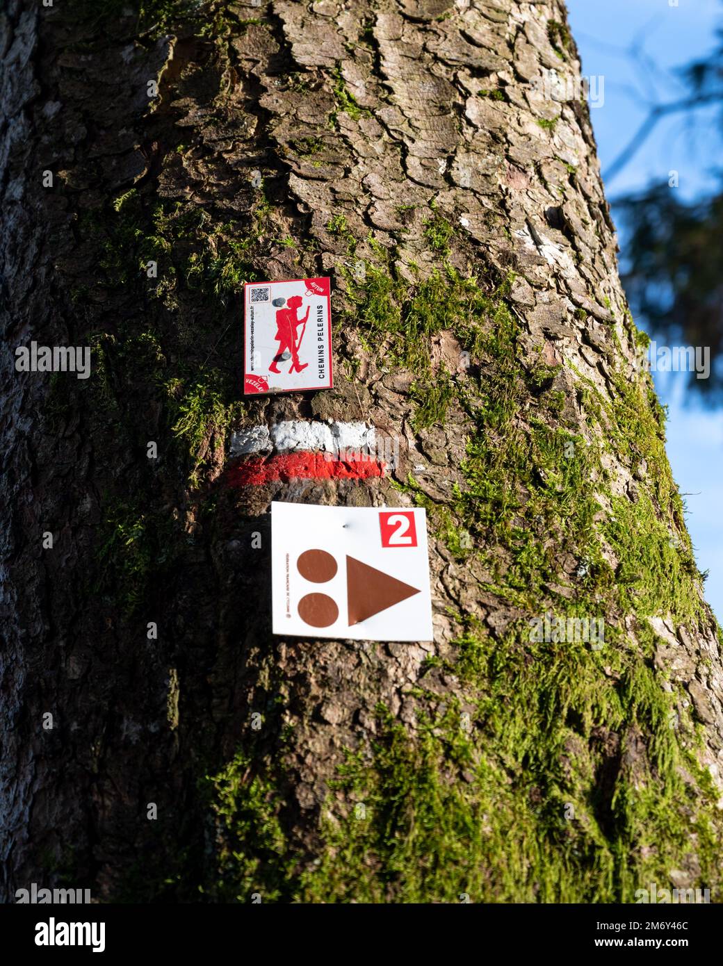 Marking of a long-distance hiking route (white and red). Itineraries ...