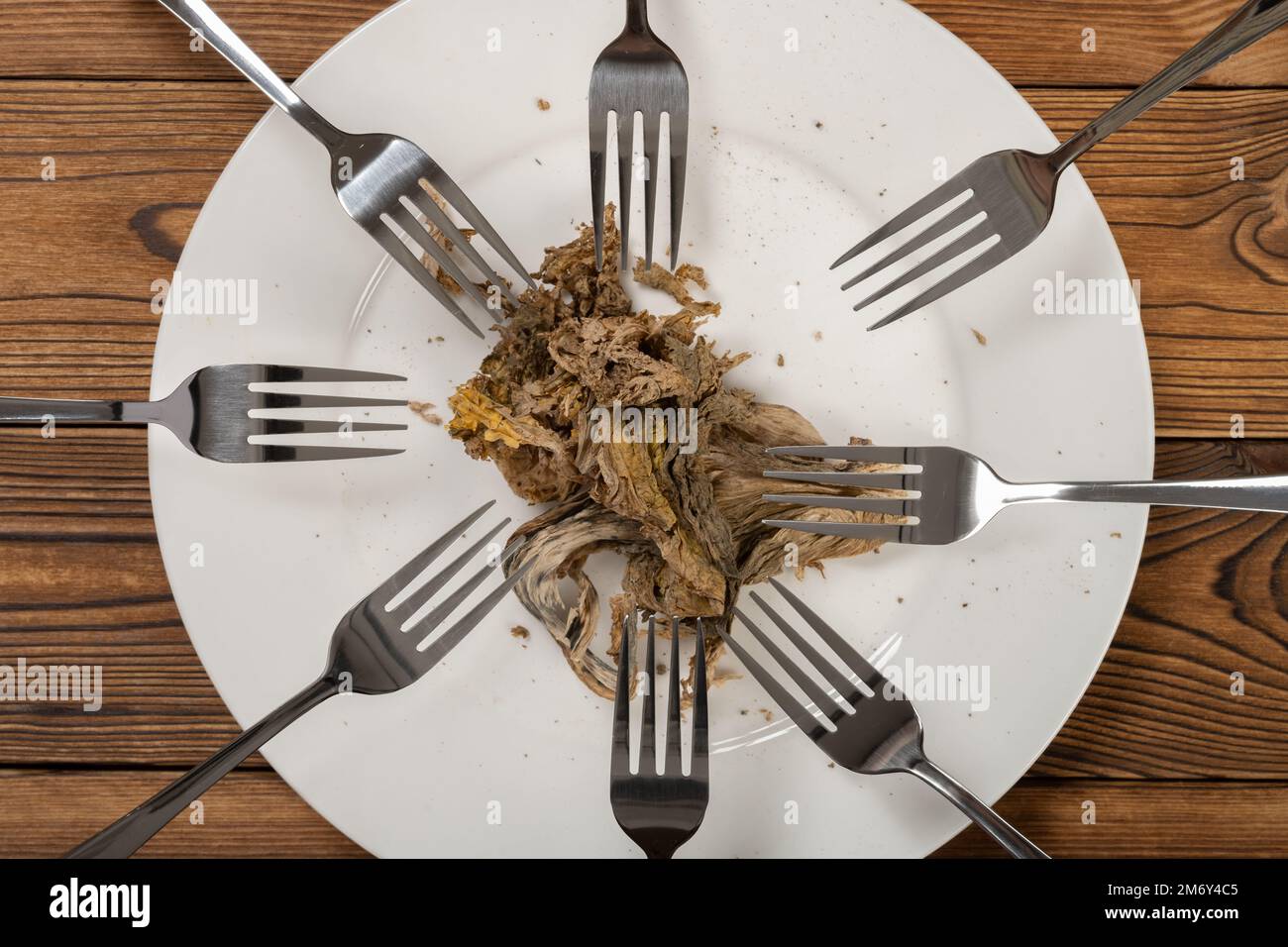 last bit of moldy vegetable surrounded by forks concept of lack of food ...
