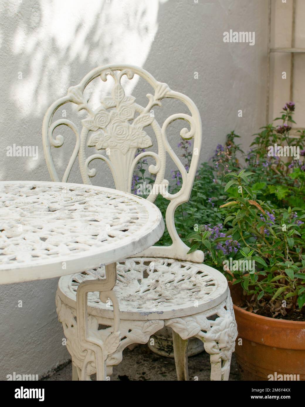 Metal rustic white table and chairs with plant in background, exterior ...