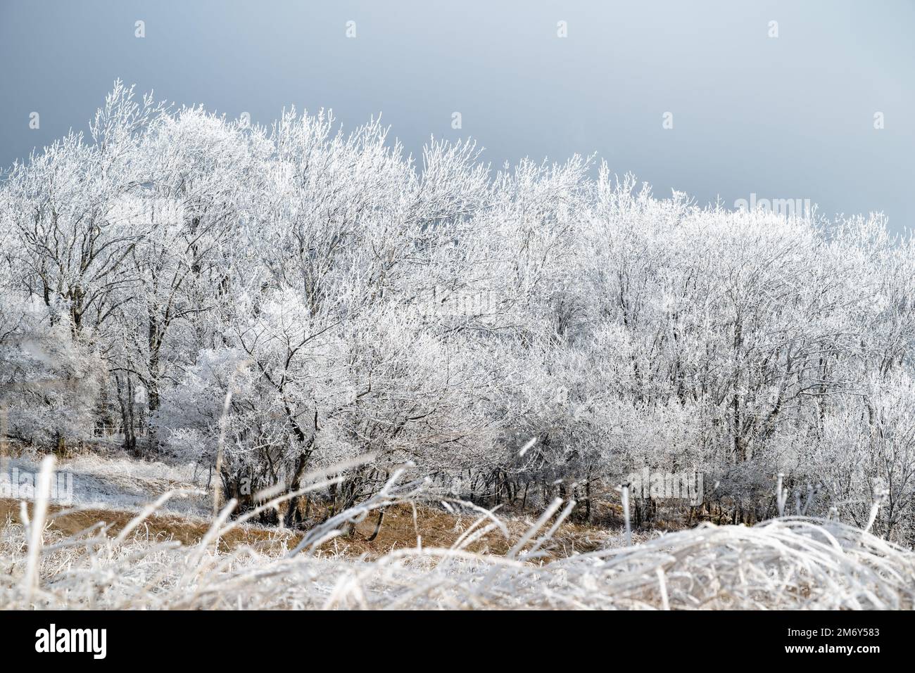 Melting in the heat hi-res stock photography and images - Alamy