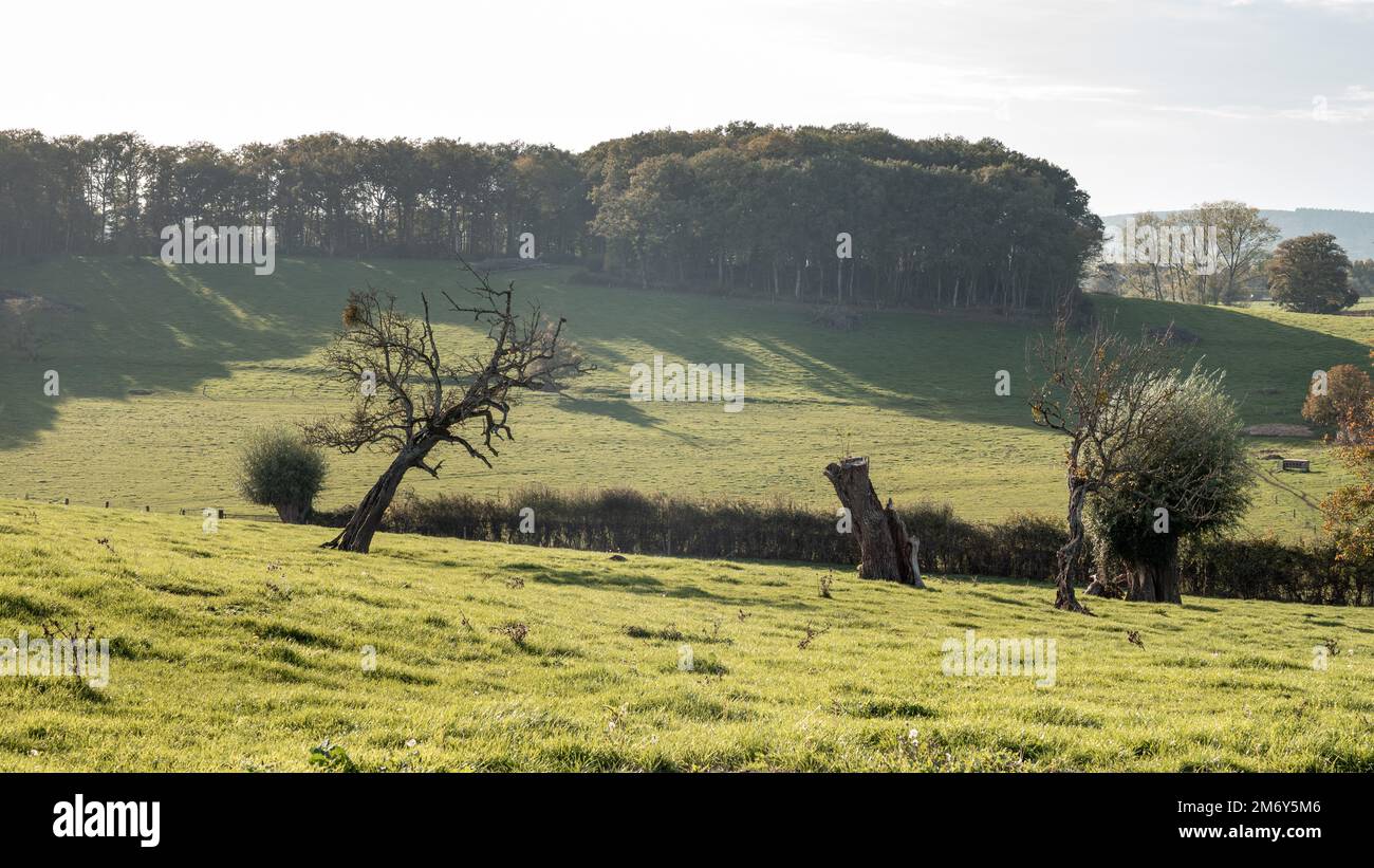 Wonderful landscape photography in france hi-res stock photography and ...