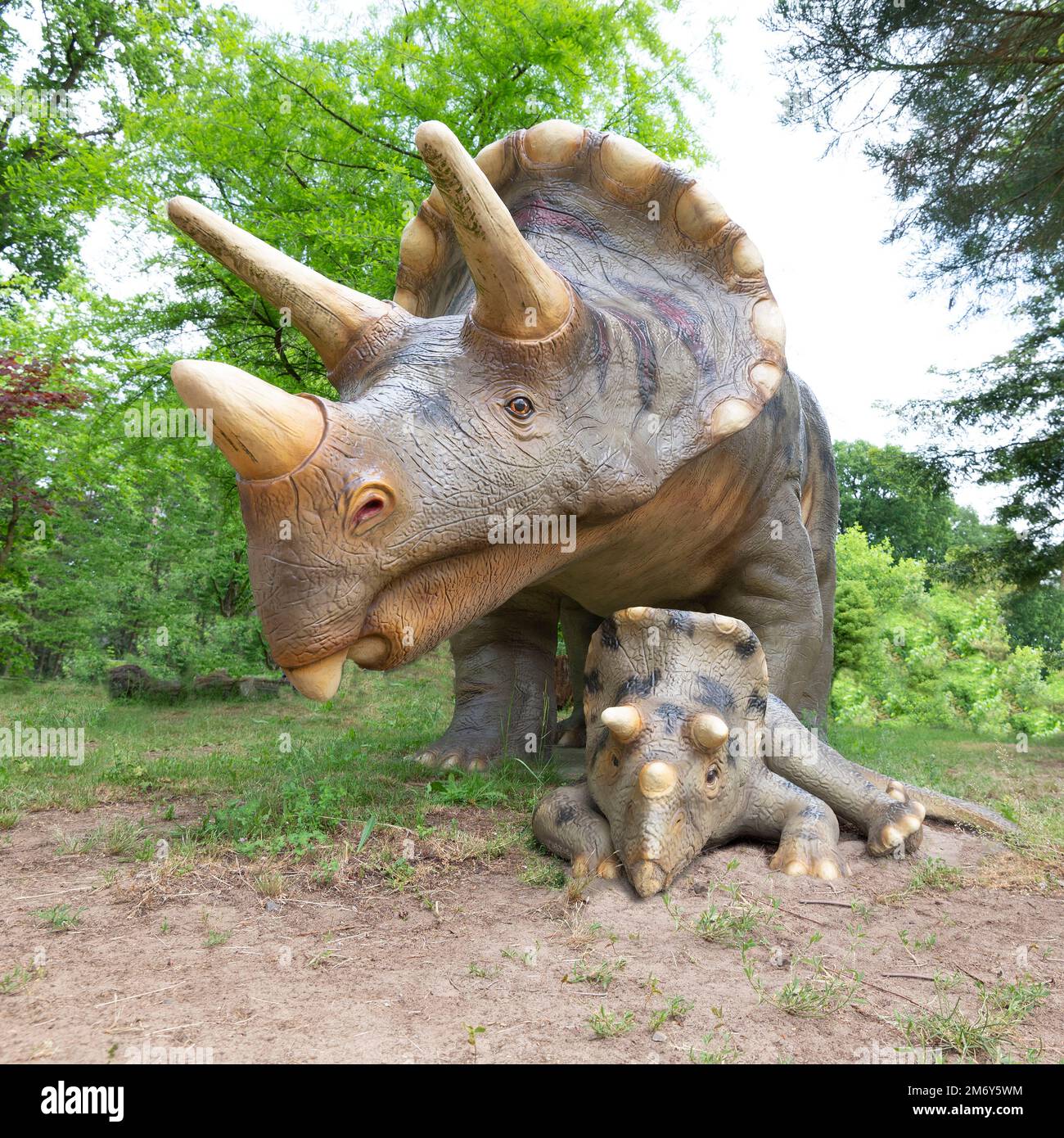 Triceratops image hi-res stock photography and images - Alamy