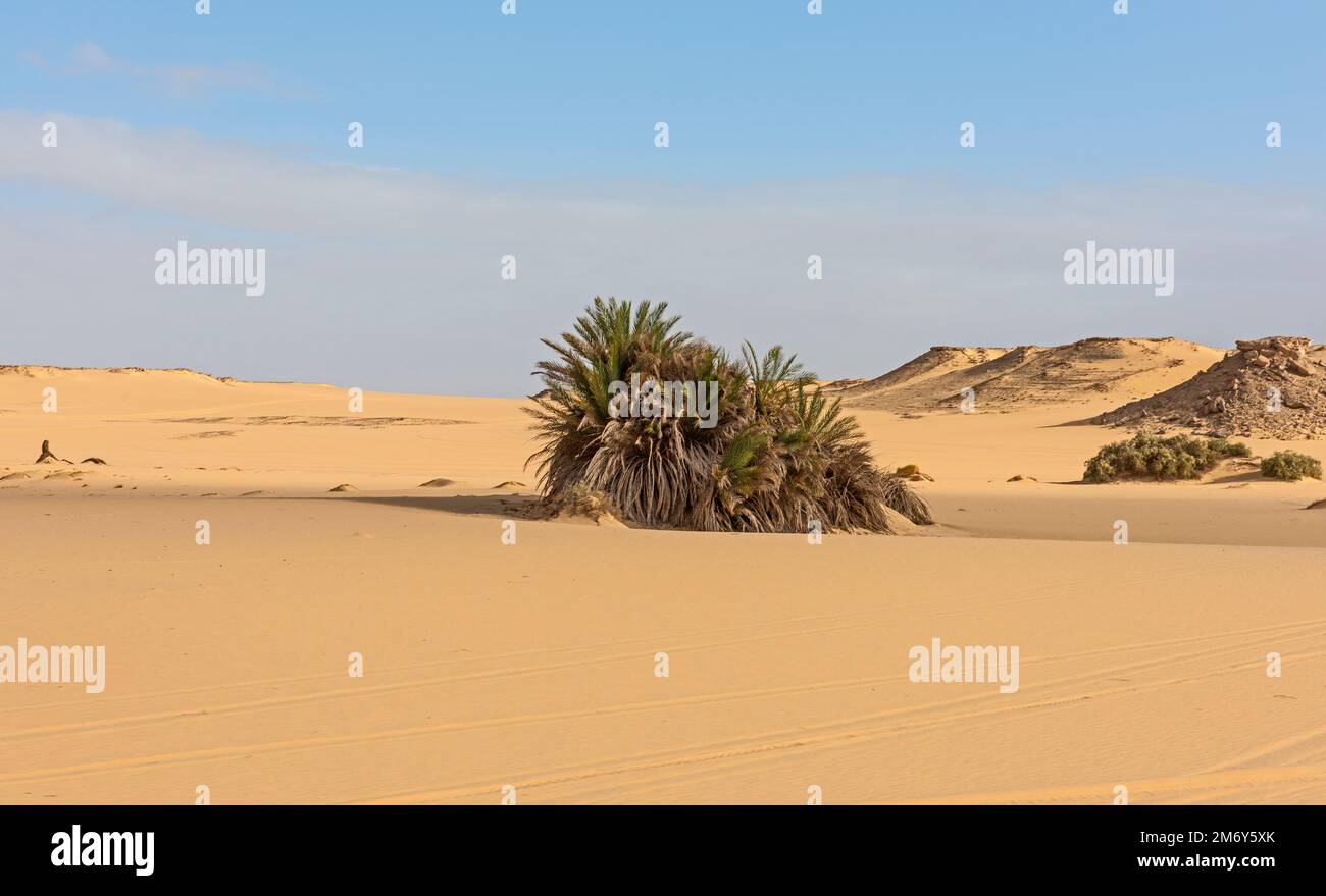 Landscape scenic view of desolate barren western desert in Egypt ...