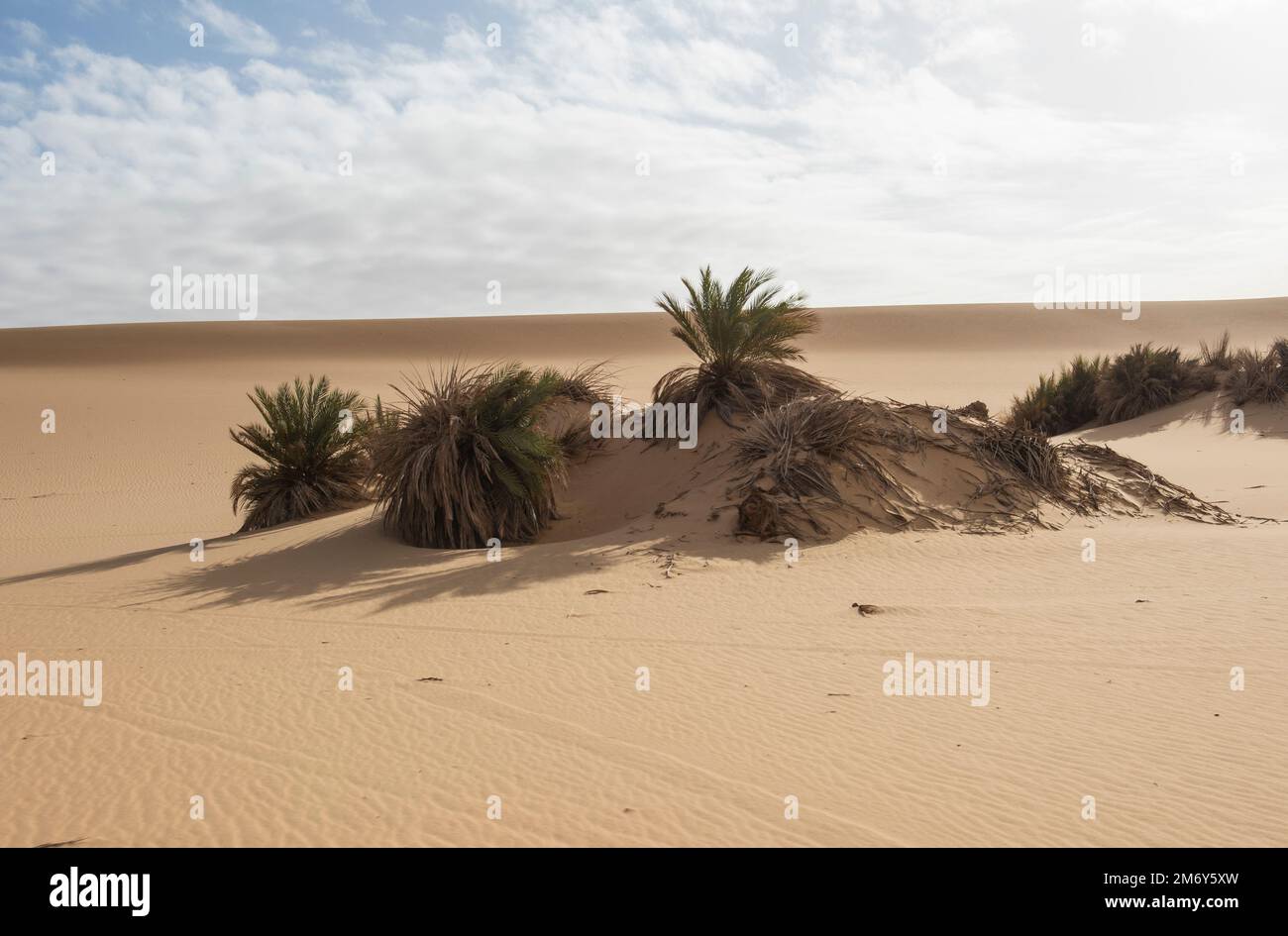 Landscape scenic view of desolate barren western desert in Egypt ...