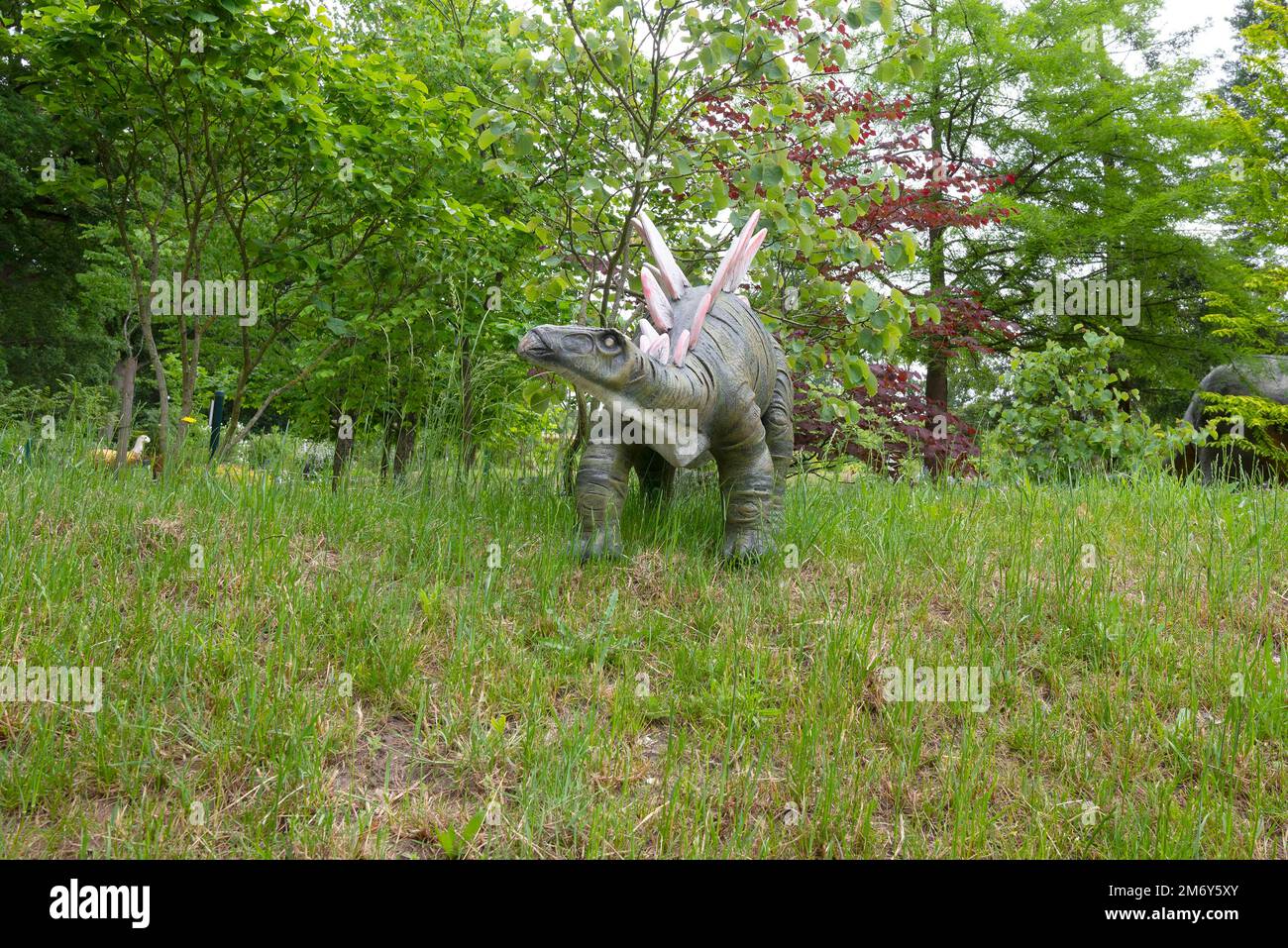 Stegosaur means lizard with a roof walking in a natural environment ...