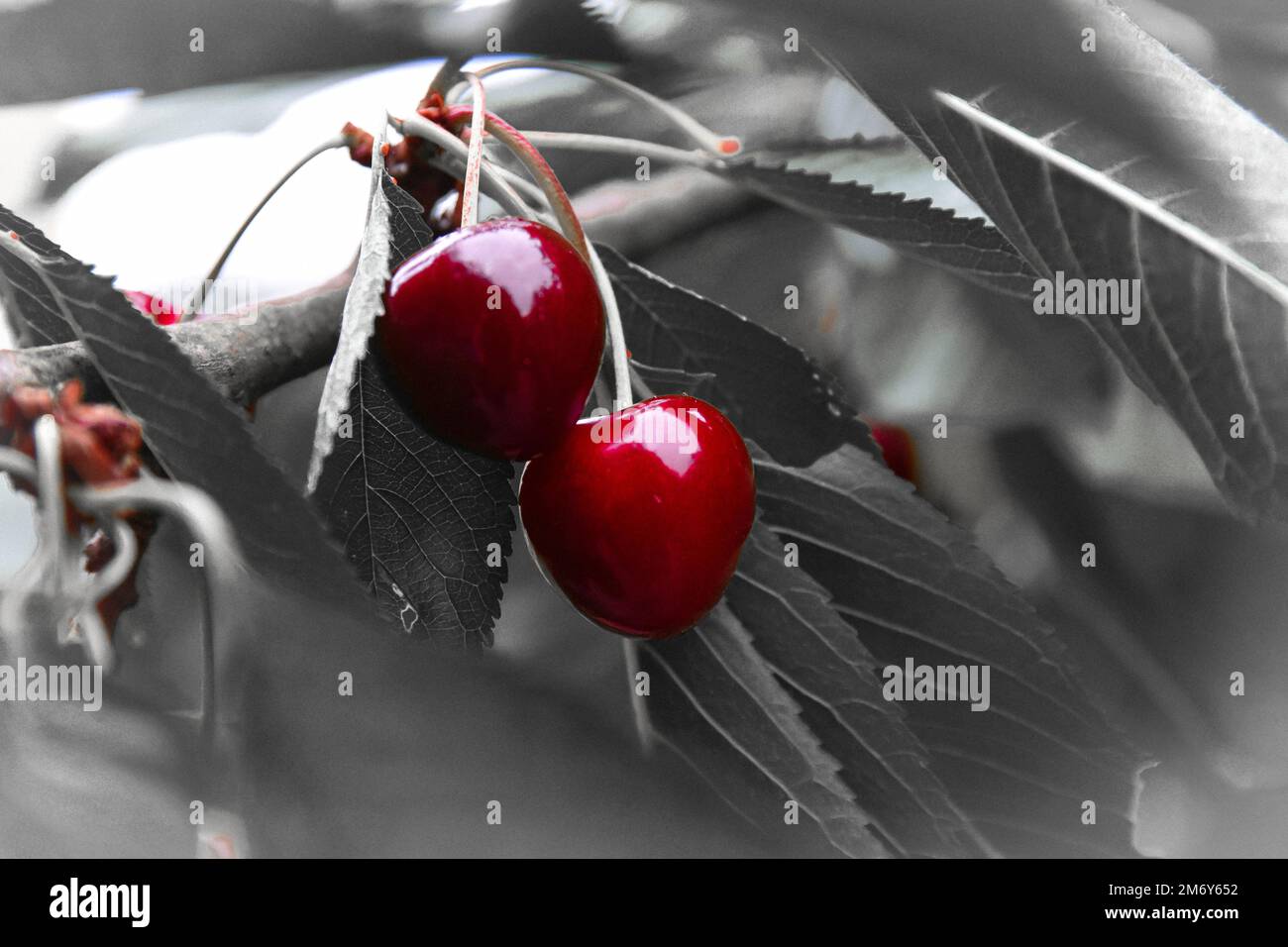 Digital Art pics Stock Photo - Alamy