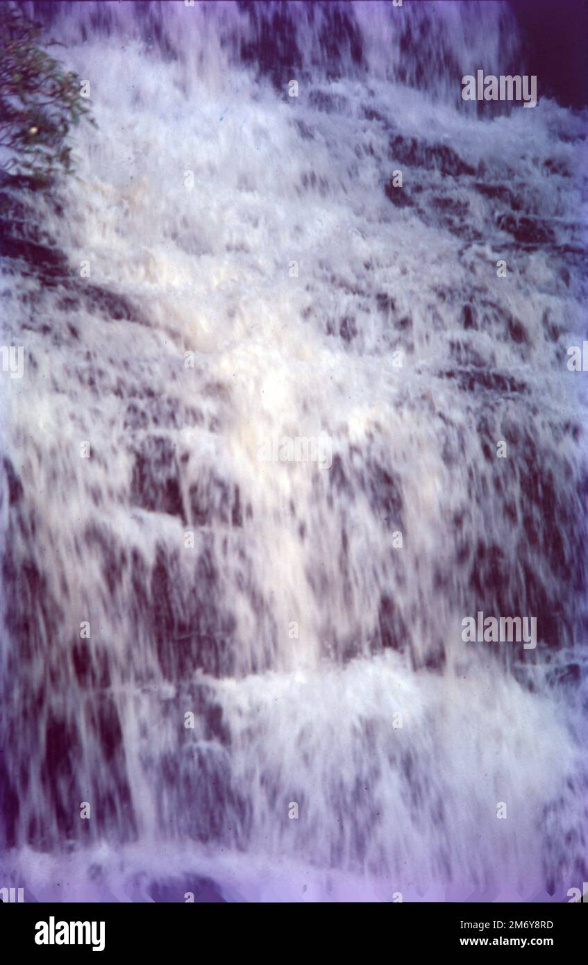 Named after an Elephant like stone at its foot, the Elephant Falls are ...