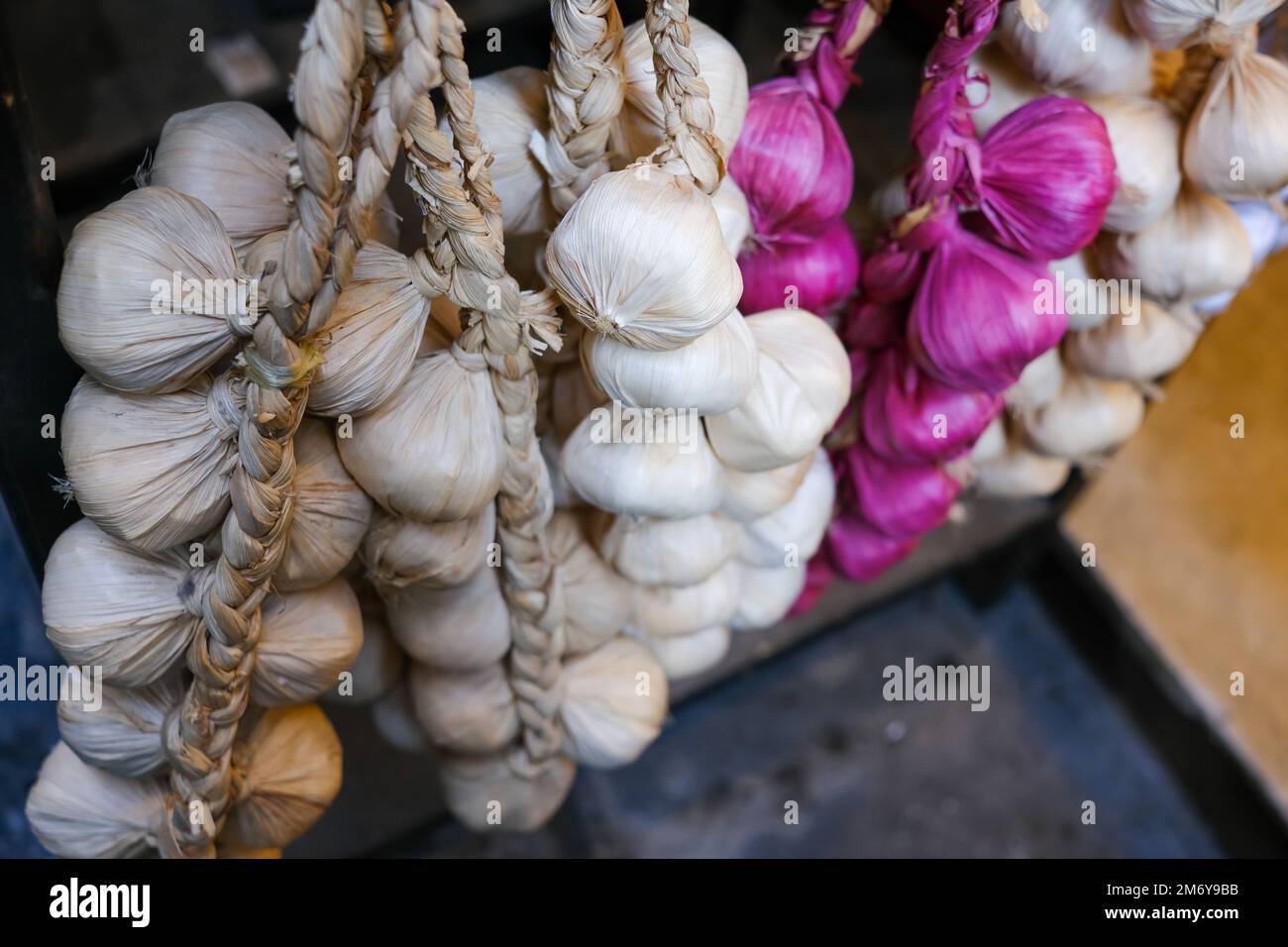 Different types of garlic, red and white garlic braided together ...