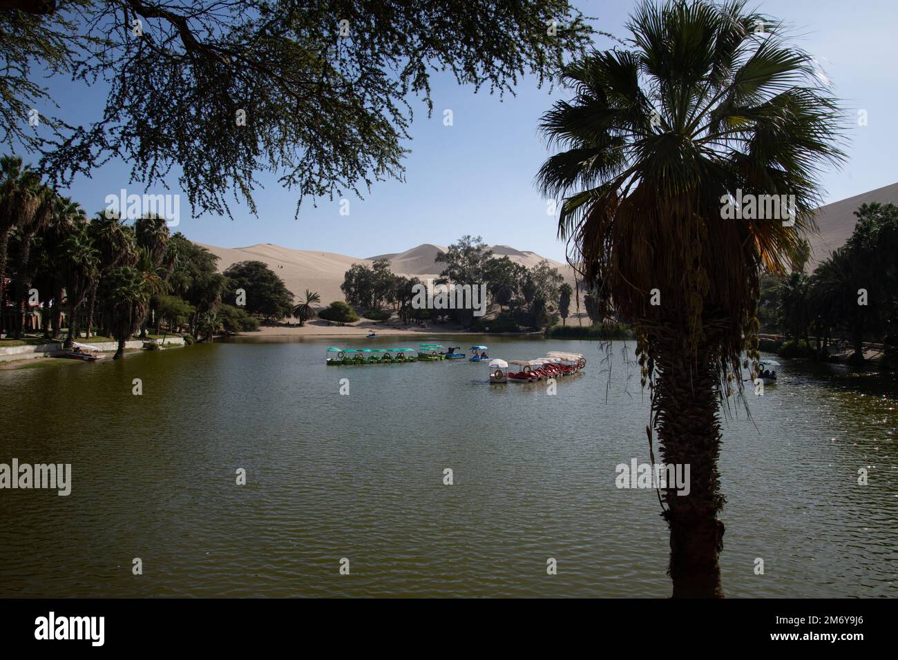 Huacachina oasis in Ica desert Peru Stock Photo - Alamy
